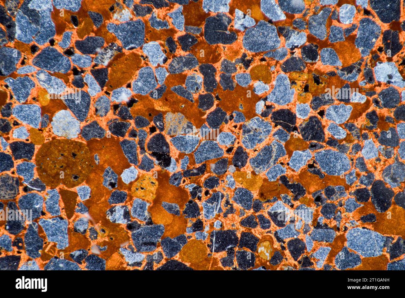 Sedimentary limestone, Loch Torridon, Scotland, quartz, limonite ...