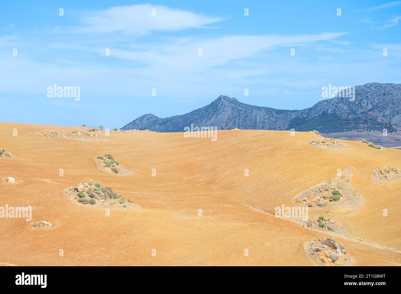 Spanish farm lands hi-res stock photography and images - Alamy