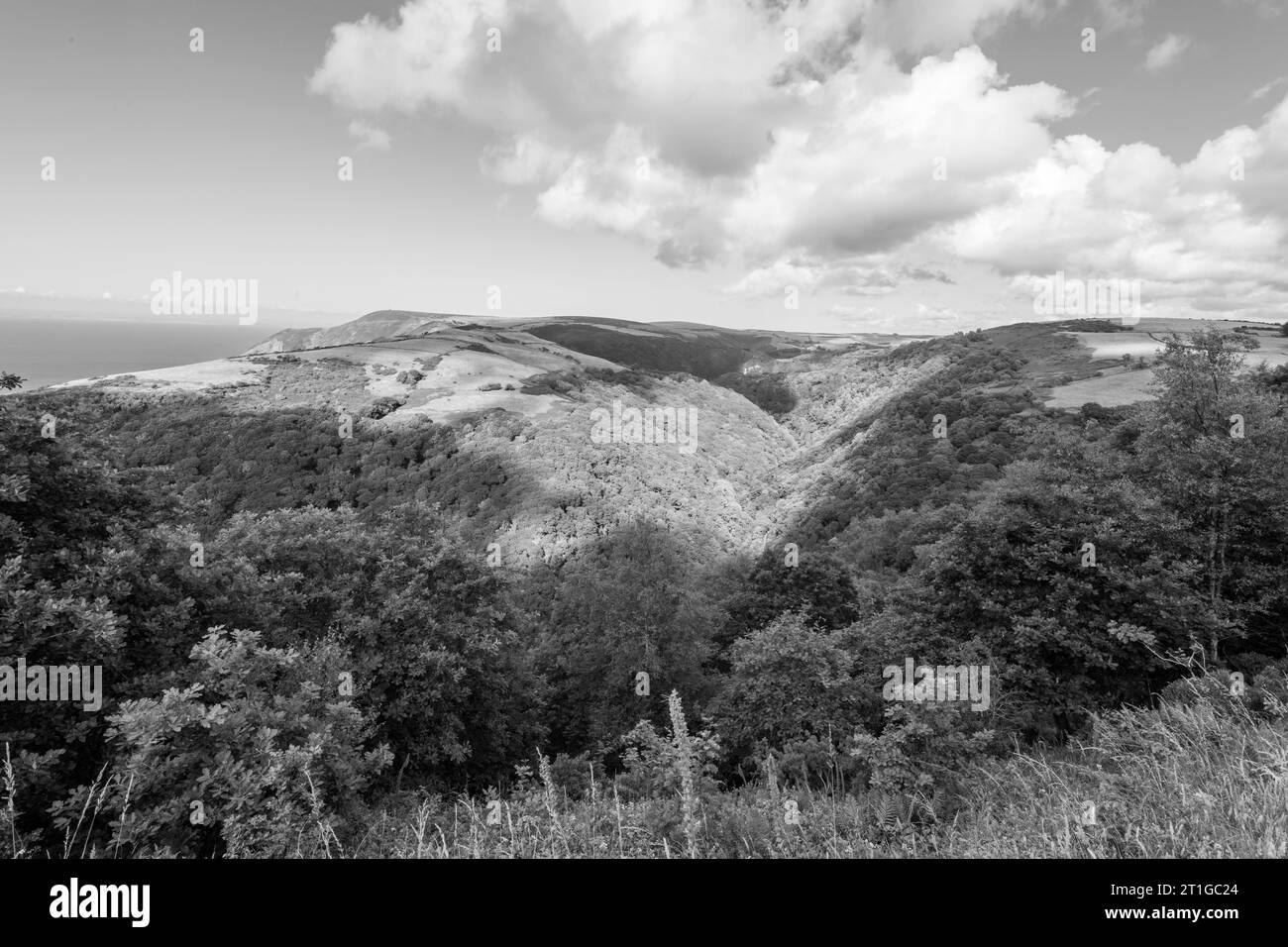 Landscape photo of Countisbury Hill and Watersmeet Valley in Exmmor ...