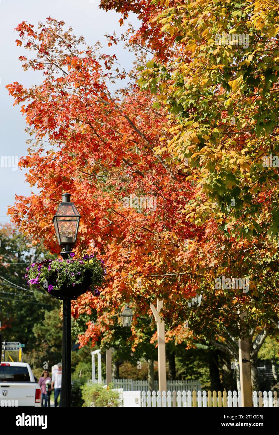 Fall in Bar Harbor Stock Photo - Alamy