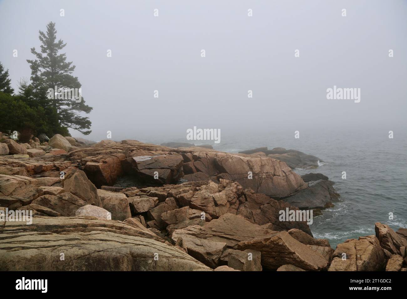 Gulf of Maine in the Fog Stock Photo - Alamy