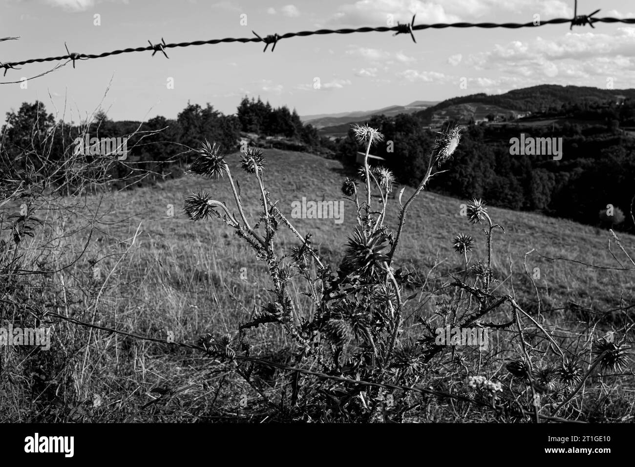 Black and whire photography hi-res stock photography and images - Alamy