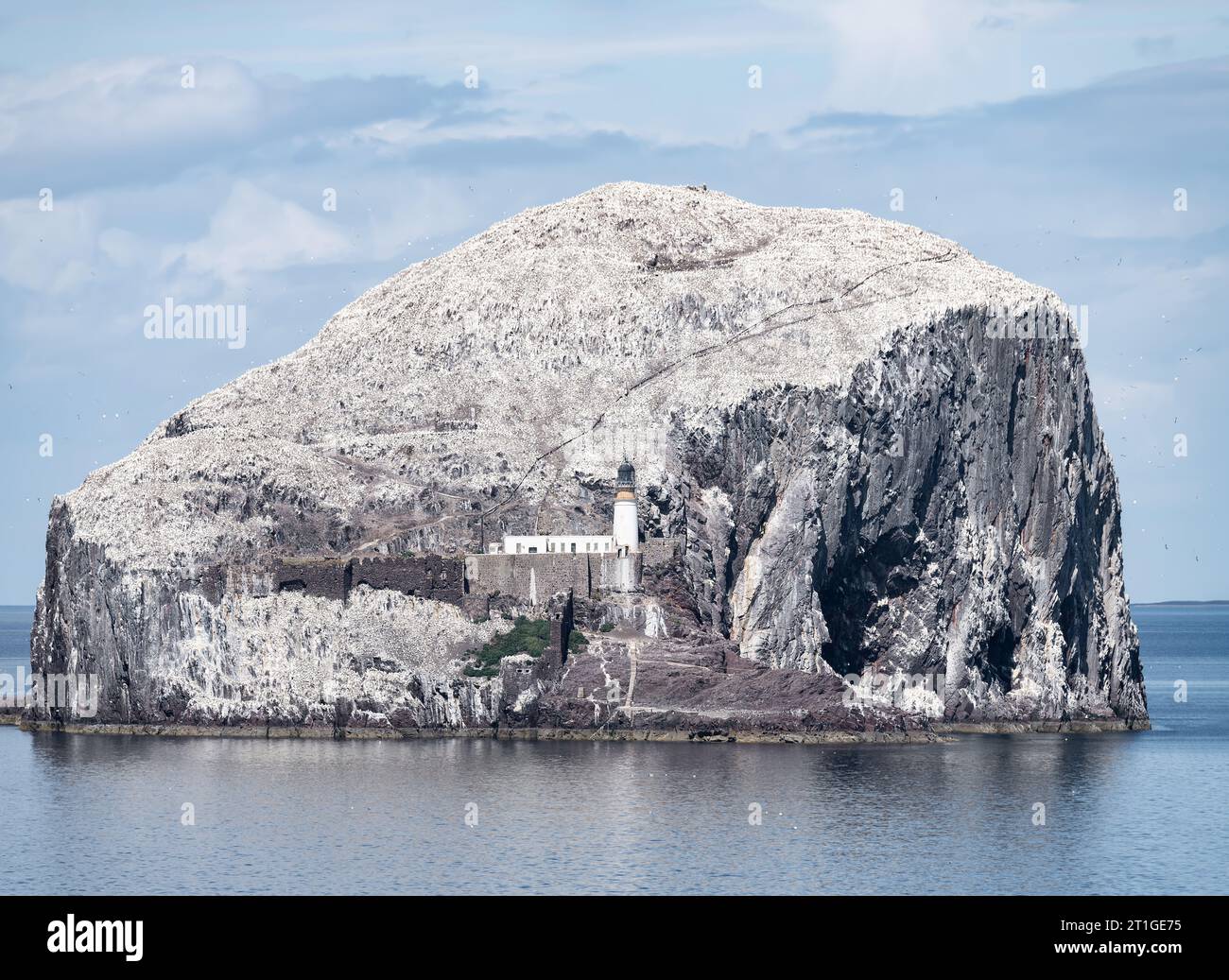 Bass Rock Lighthouse and Nature Reserve in the Firth of Forth, Bass ...