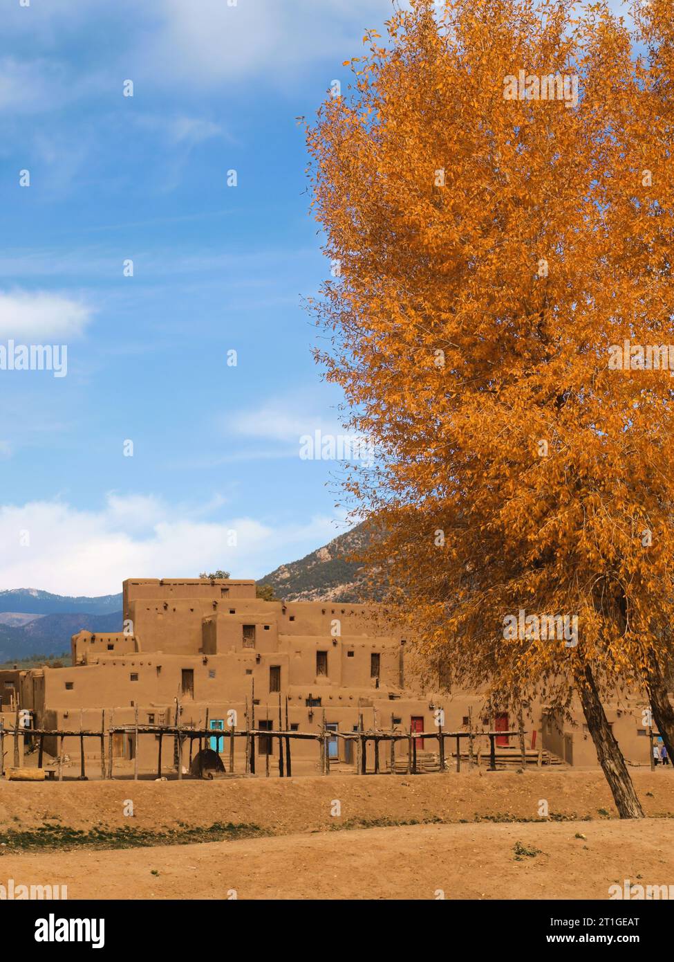 Large autumn tree and Taos community building Stock Photo - Alamy