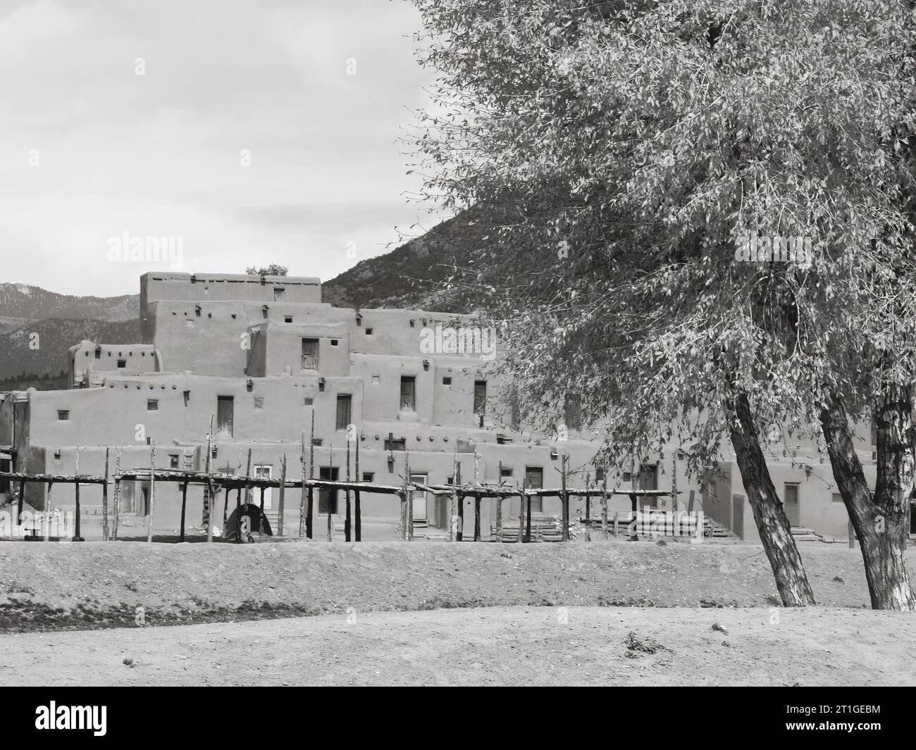 Monochrome autumn tree taos pueblo hi-res stock photography and images ...