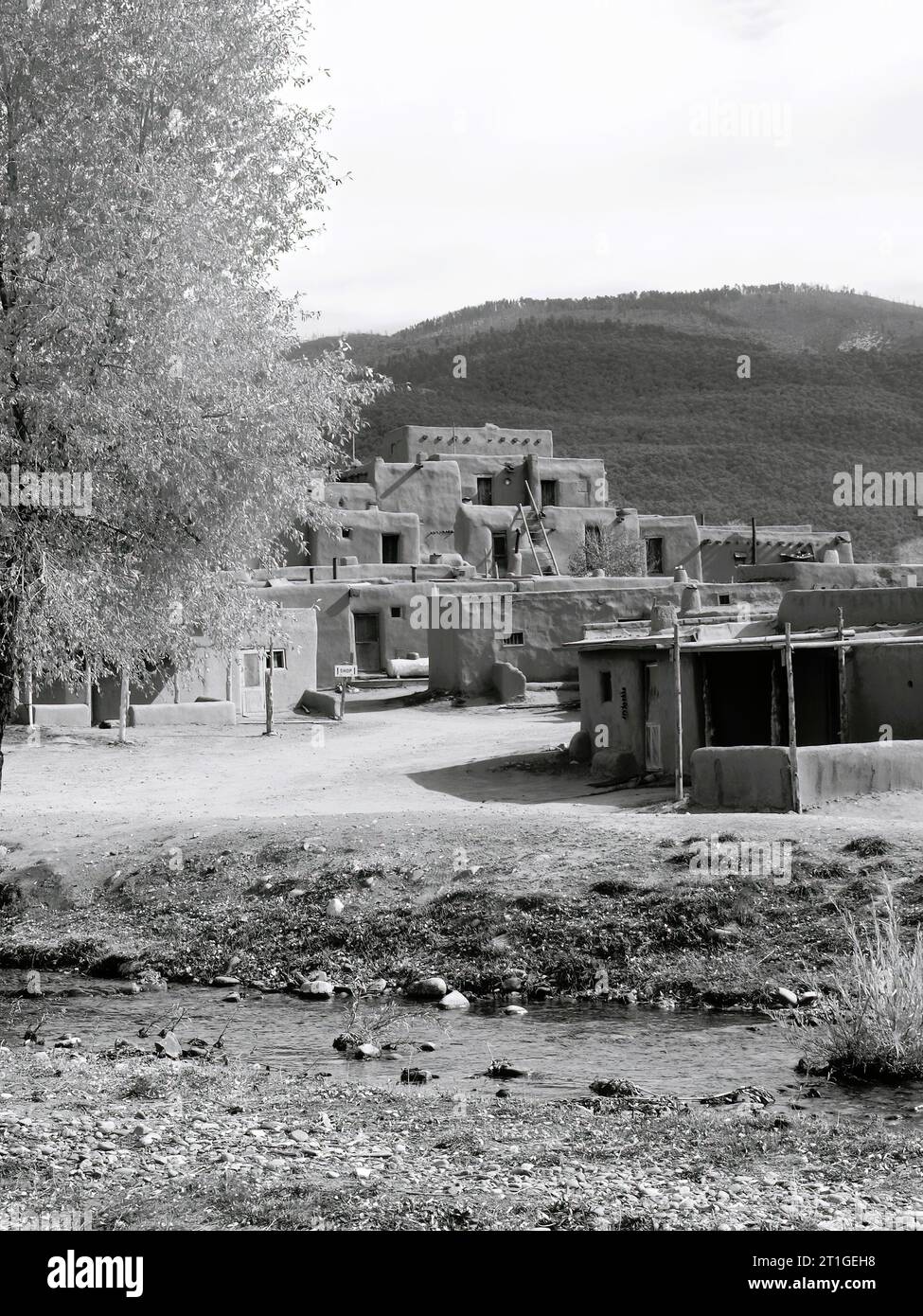 Monochrome autumn with Taos Pueblo stream, tree, and community ...