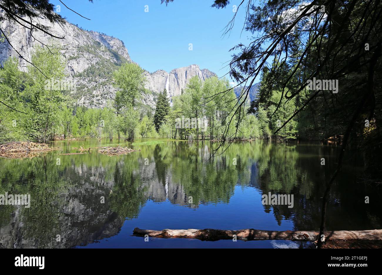 Merced River with fall reflection, California Stock Photo - Alamy