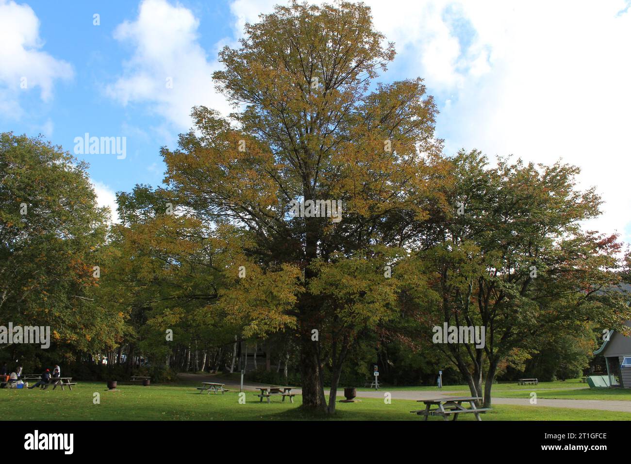 These photos are from and around Cheticamp area in Nova Scotia . It is ...