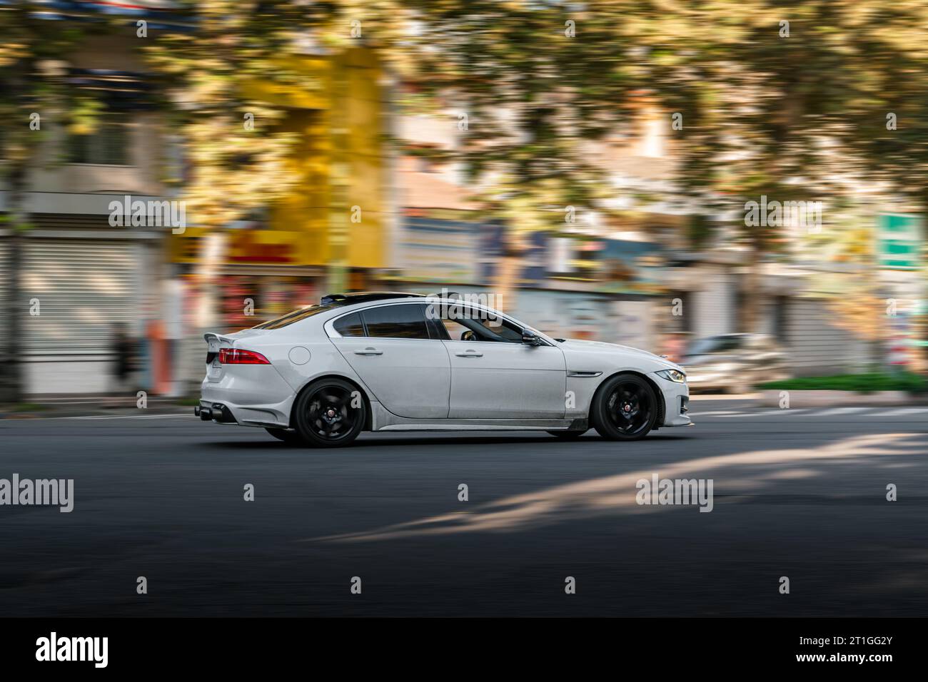 Panning shot landscape birch trees hi-res stock photography and images ...