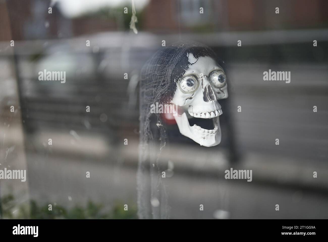 Halloween, Skull hanging in white garment, Celebrating mystical holiday ...