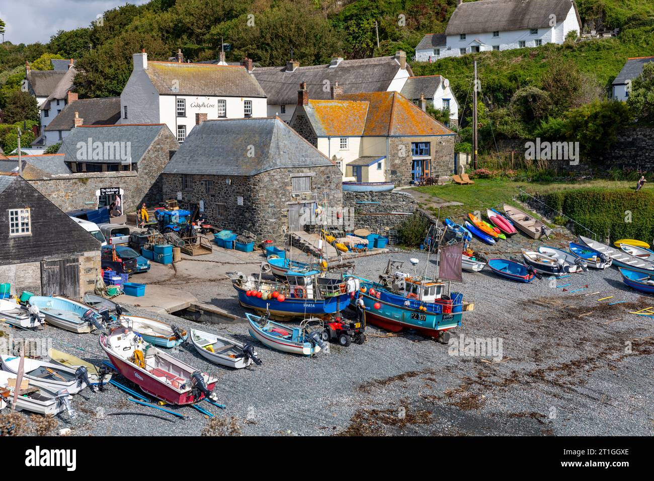 Cadgwith Cove on the Cornwall coast, fishing boats on the shingle beach ...