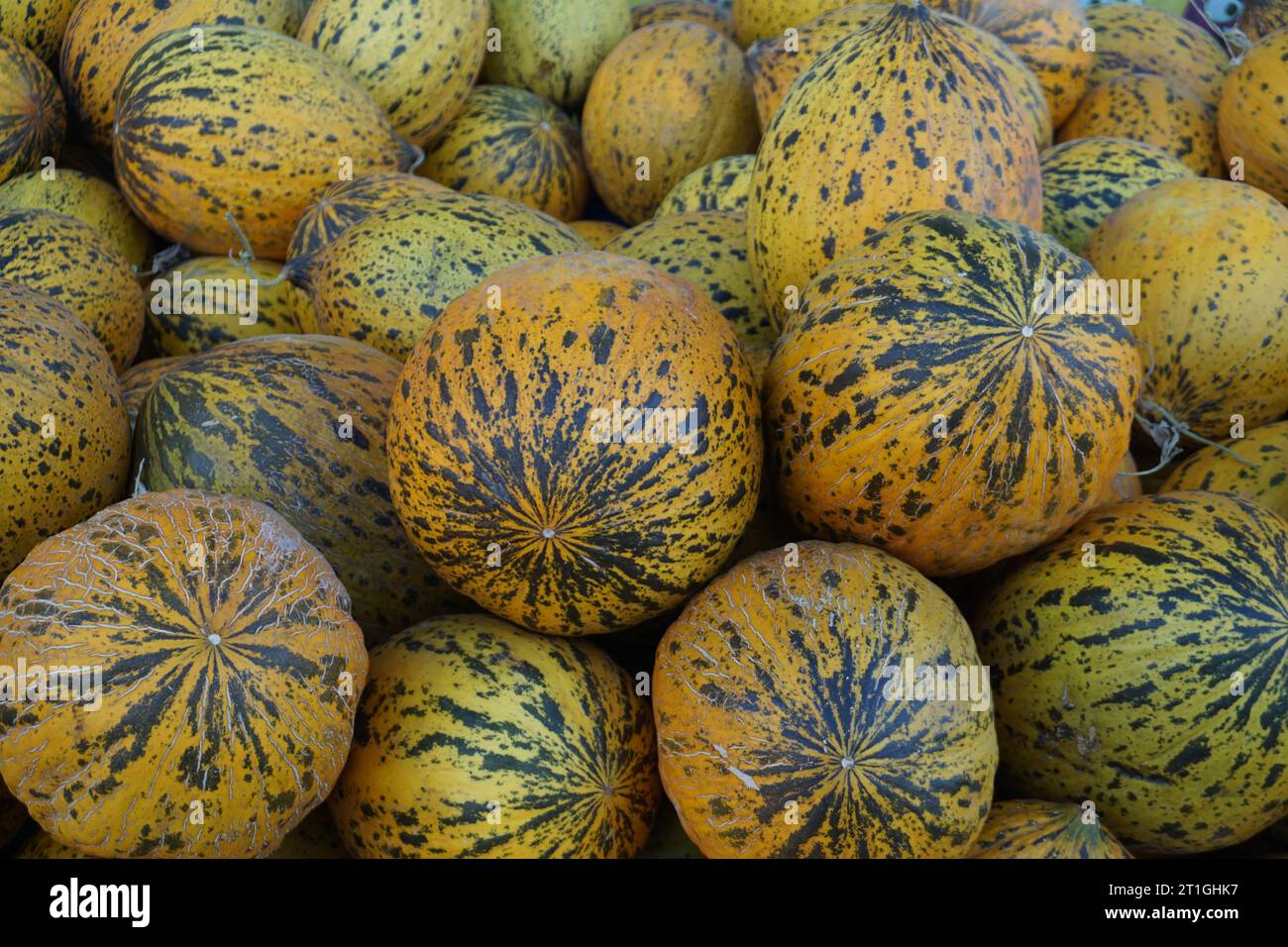 Melons at the grocery store. Melons ready for sale. Melons stacked on ...