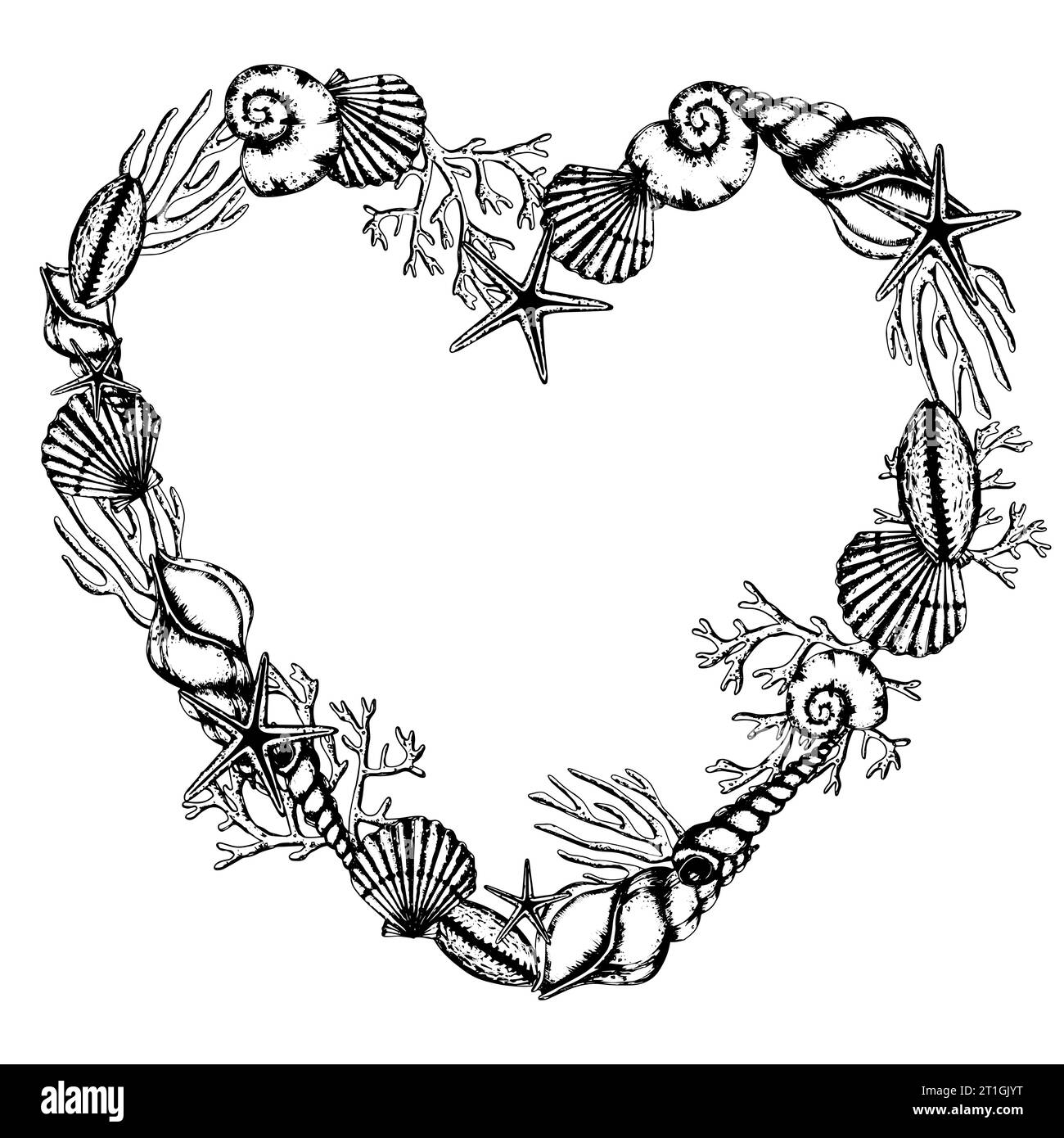 Heart shape Seashell Frame. Hand drawn vector illustration of Sea ...