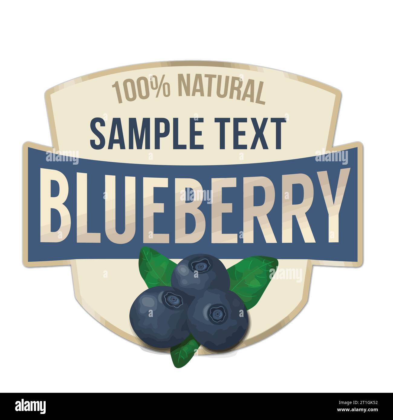 Blueberry label or sticker on white background, vector illustration ...