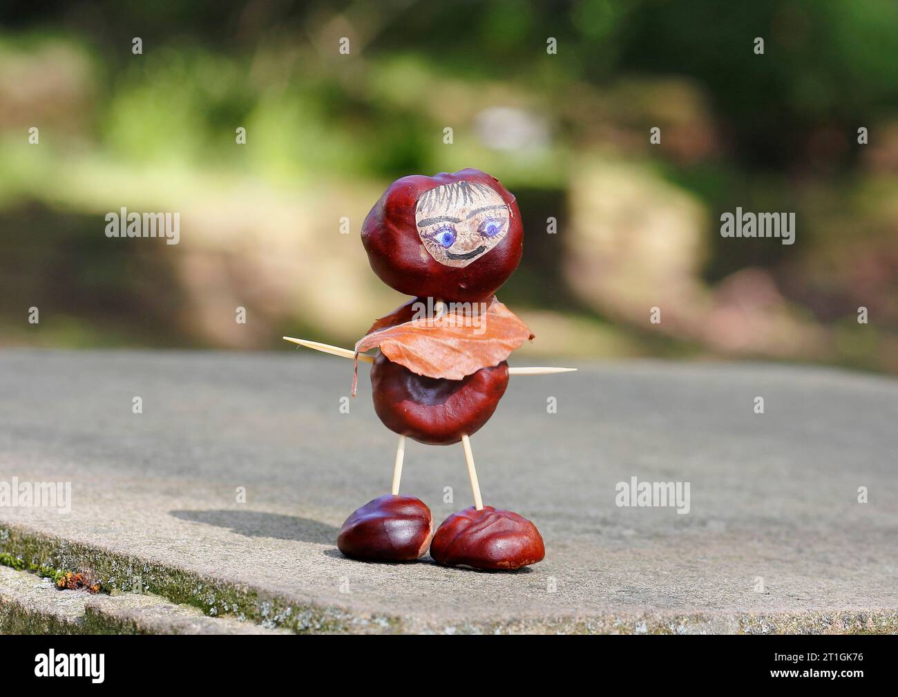 chestnut woman, front view Stock Photo - Alamy