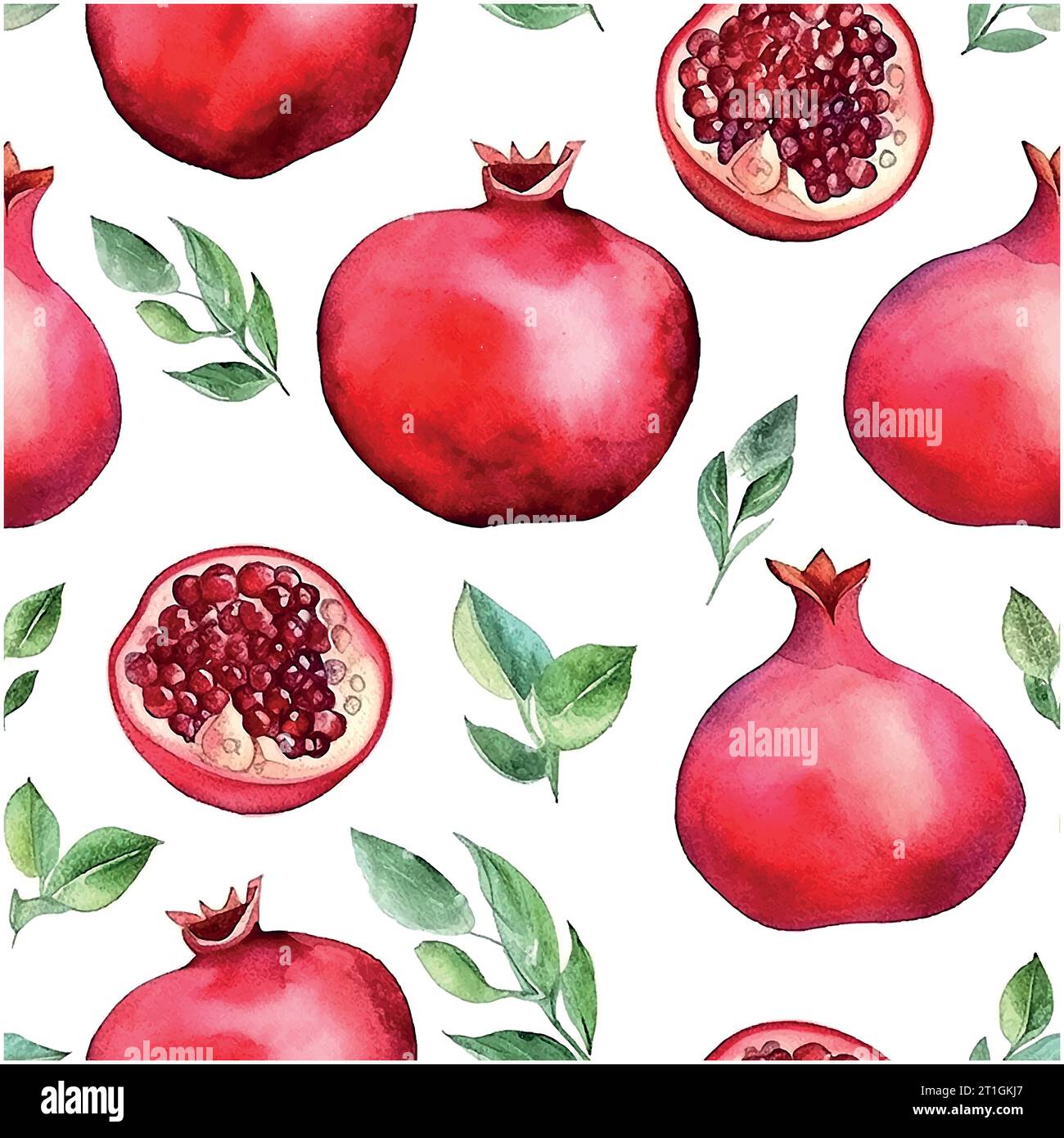 Pomegranates pattern watercolor on white background Stock Vector Image ...