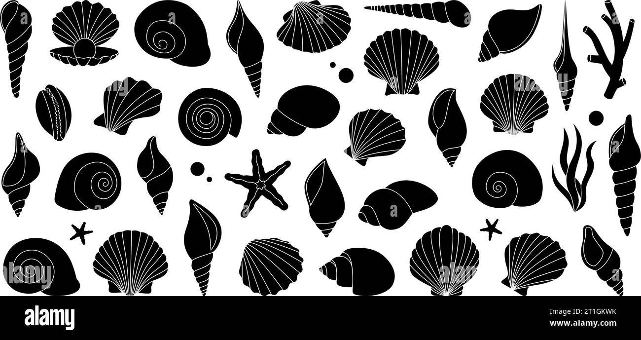 Tropical underwater shells. Pearl shells set. Freshwater algae, corals ...