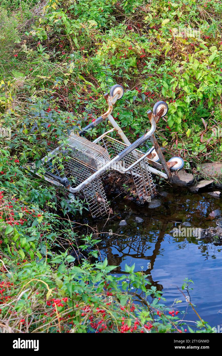 Grocery shopping cart tossed into a swamp without regard Stock Photo ...