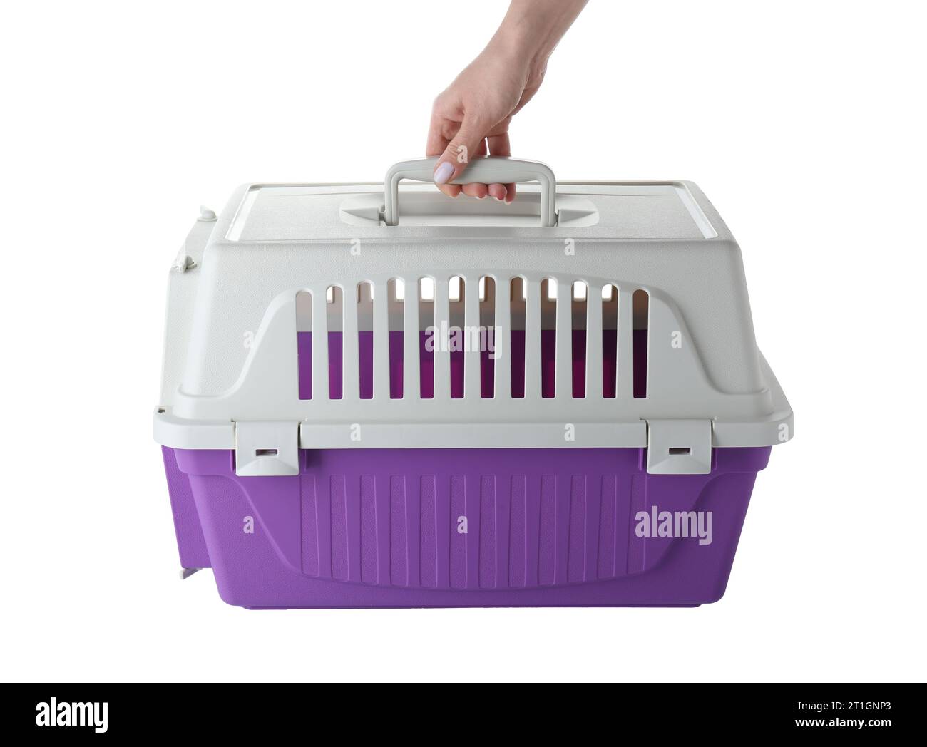 Pet carrier person Cut Out Stock Images & Pictures - Alamy