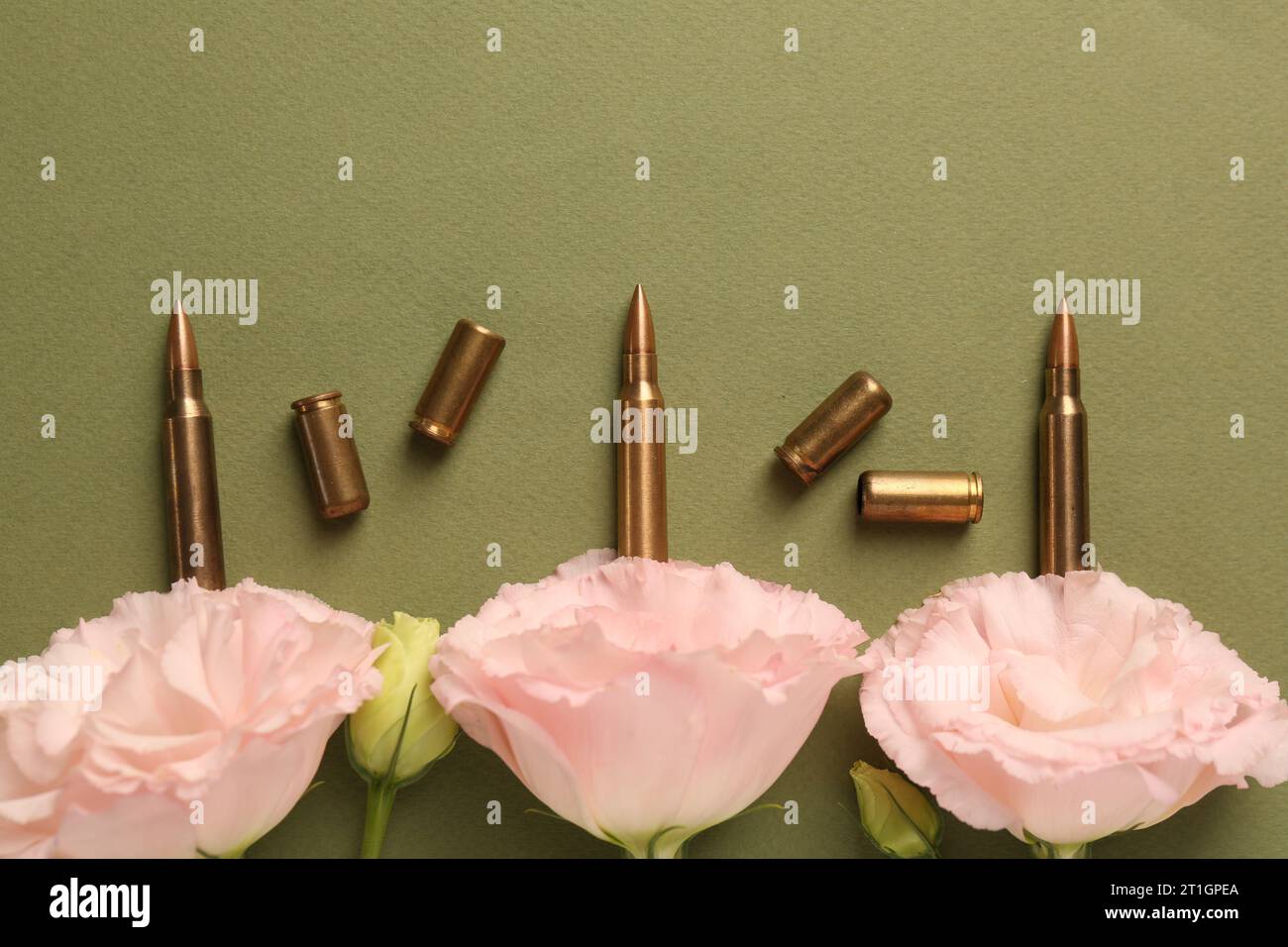 Bullets, cartridge cases and beautiful eustoma flowers on green ...