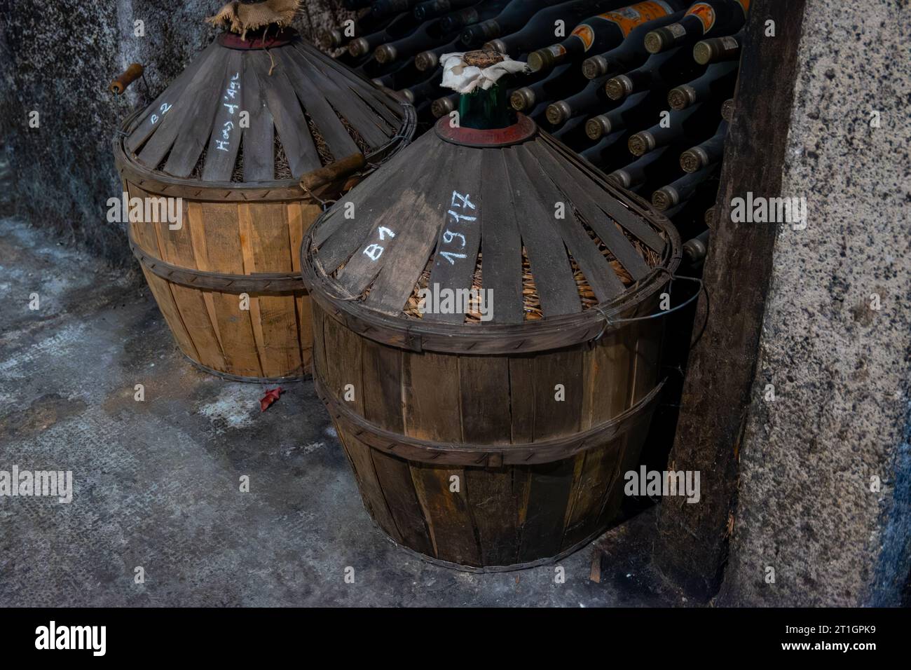 Aging process of cognac spirit in old dark French oak barrels in cellar ...