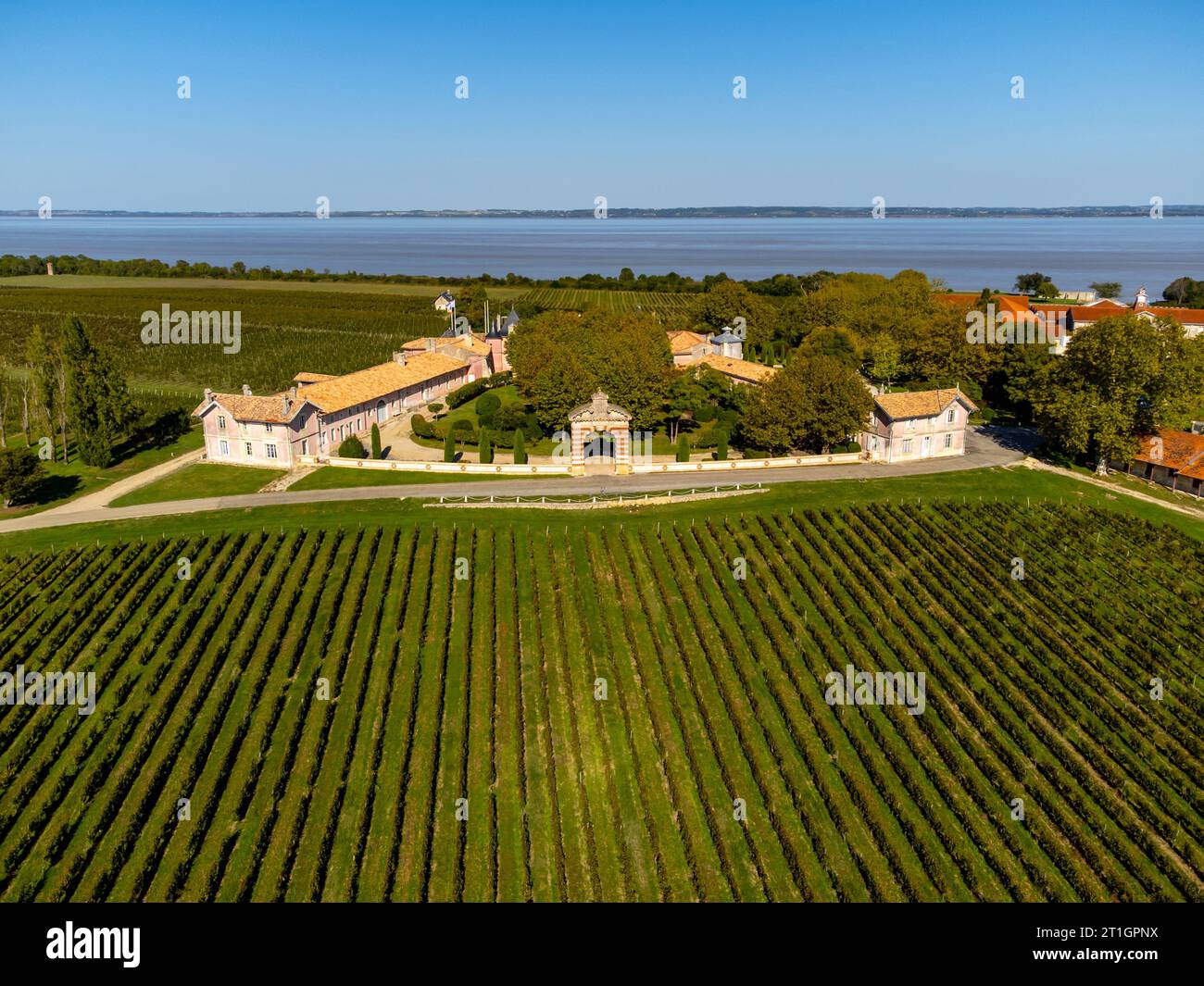 Aerial view on green vineyards, Gironde river, wine domain or chateau ...