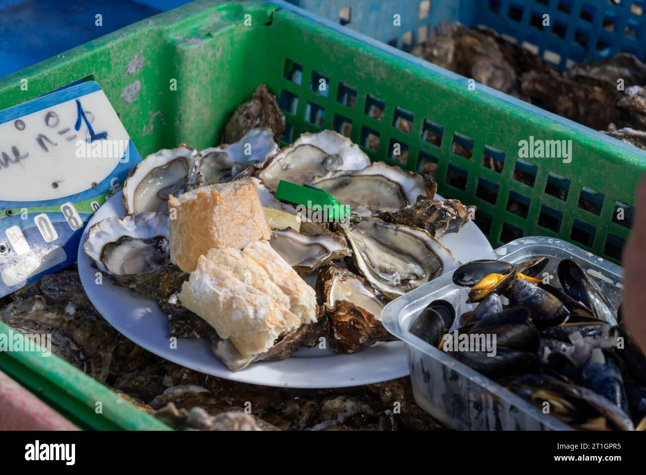 Fresh catch of french Gillardeau oysters molluscs in wooden box ready ...