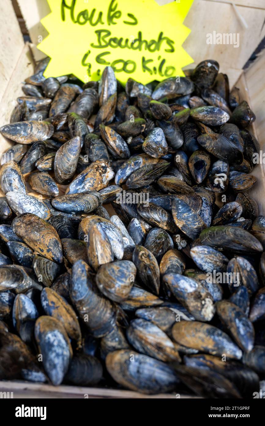 Box with fresh catch of the day on French market, english translation ...