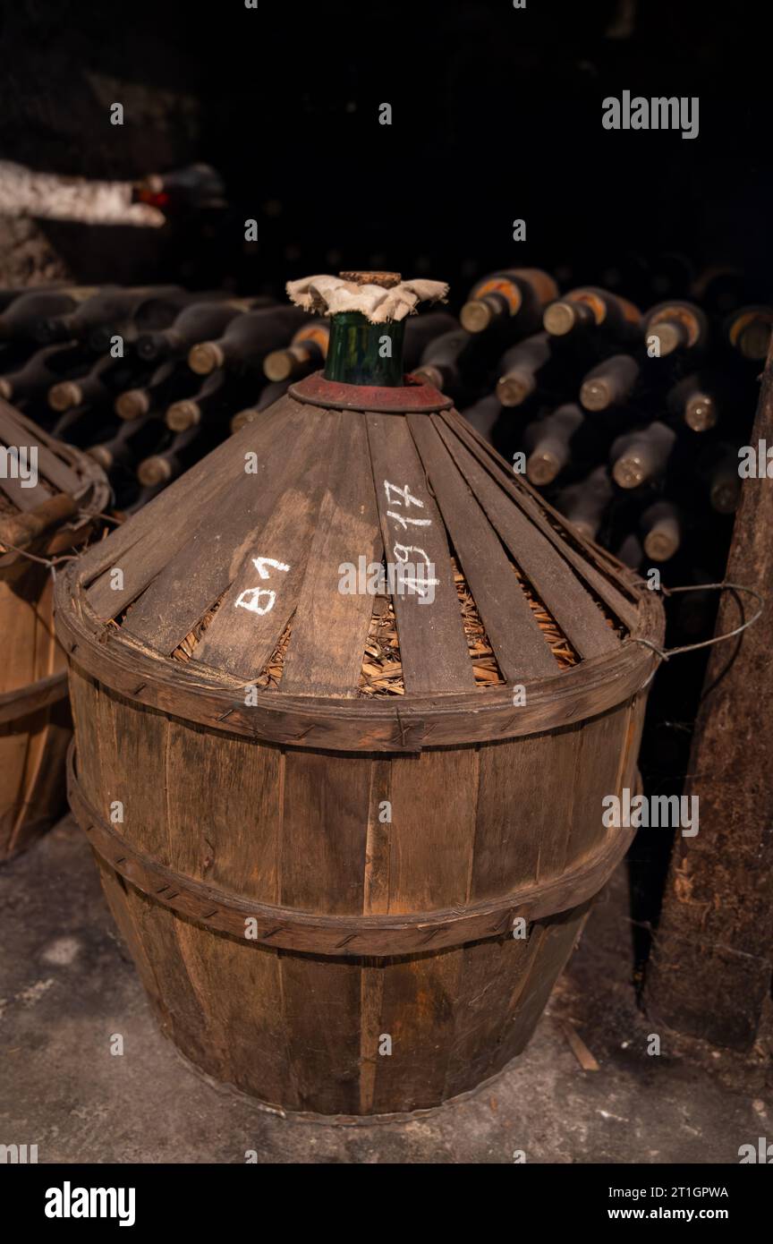 Aging process of cognac spirit in old dark French oak barrels in cellar ...