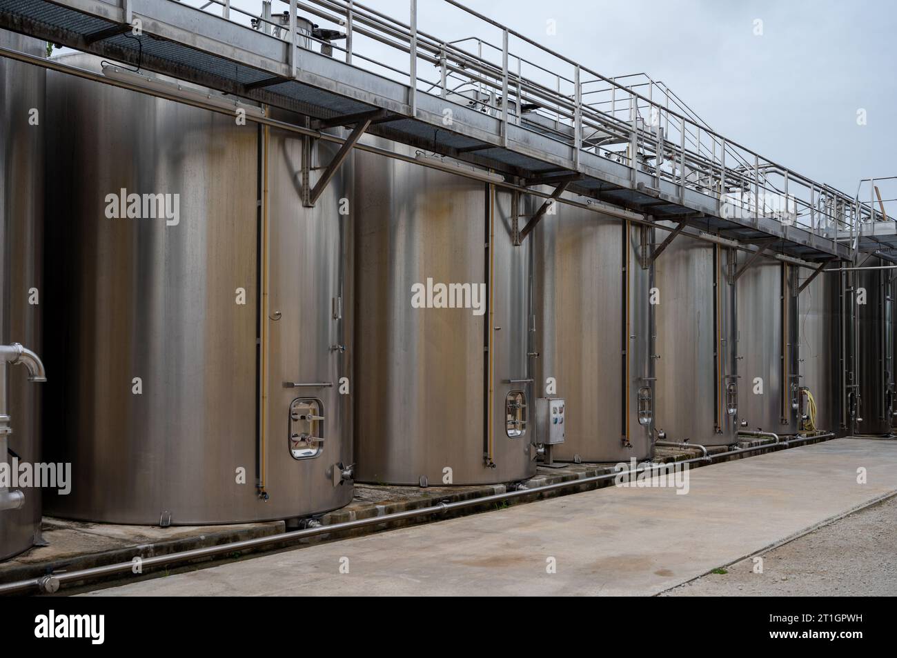 Works at distillery. Harvest time in Cognac white wine region, Charente ...