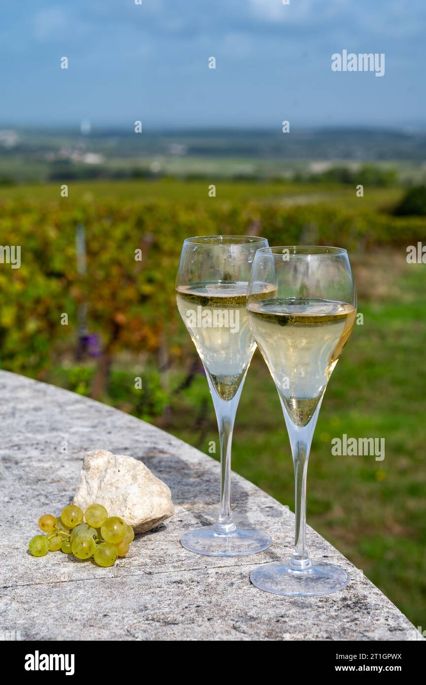 Tasting of grand cru sparkling white wine with bubbles champagne on ...