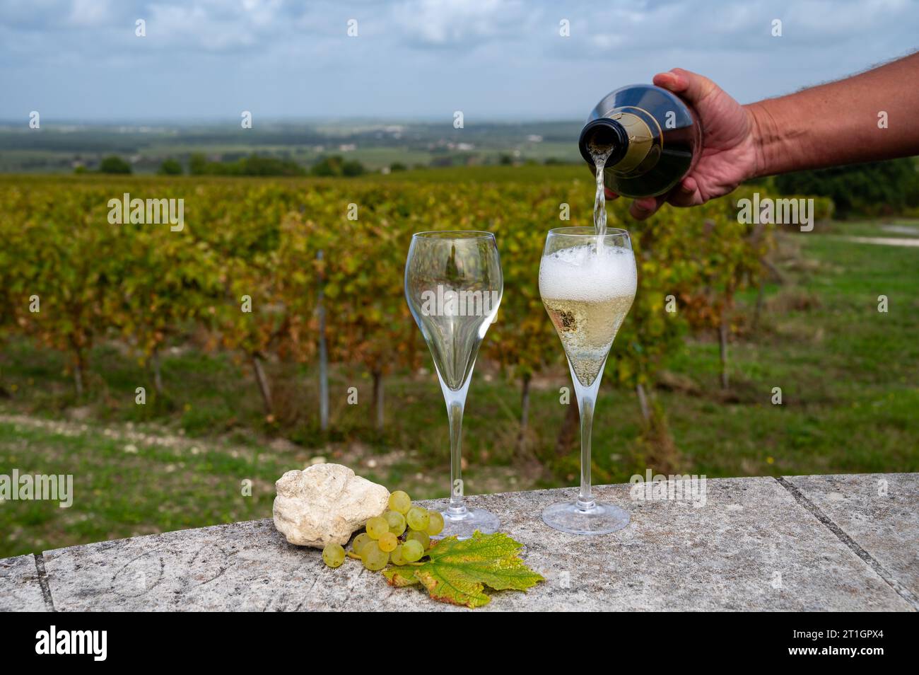 Tasting of grand cru sparkling white wine with bubbles champagne on ...