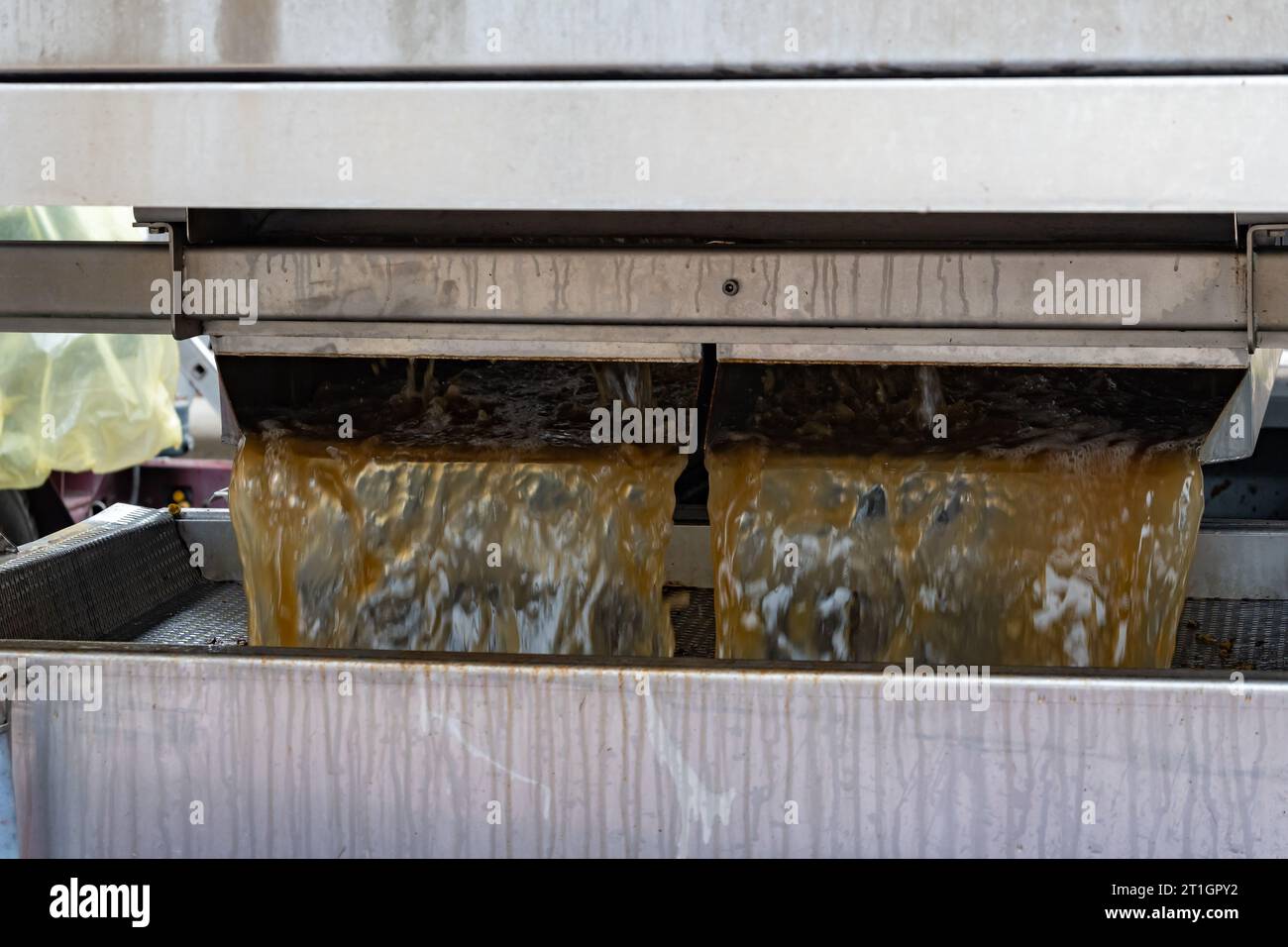 Works at distillery. Harvest time in Cognac white wine region, Charente ...