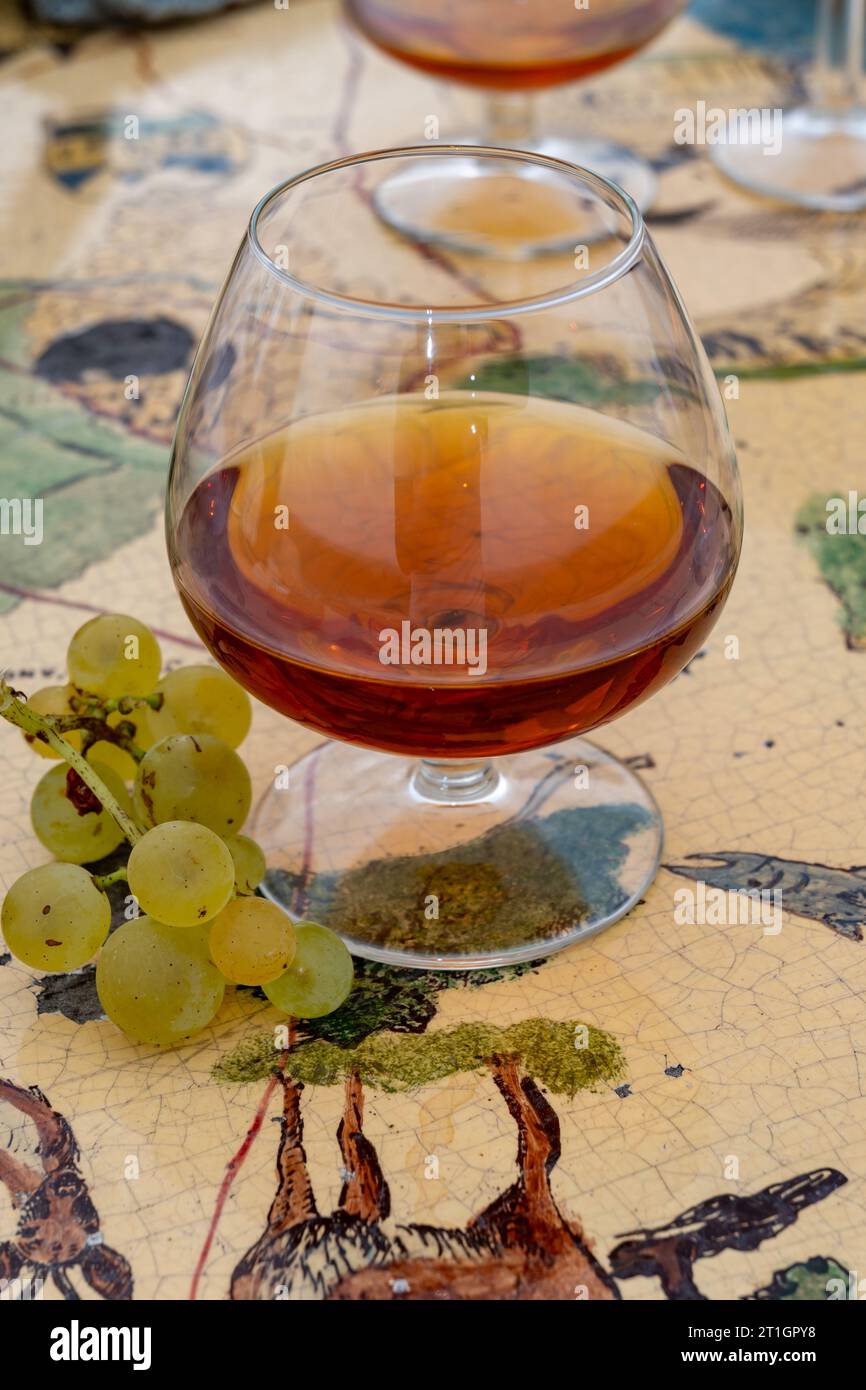Cognac region tasting france hi-res stock photography and images - Alamy