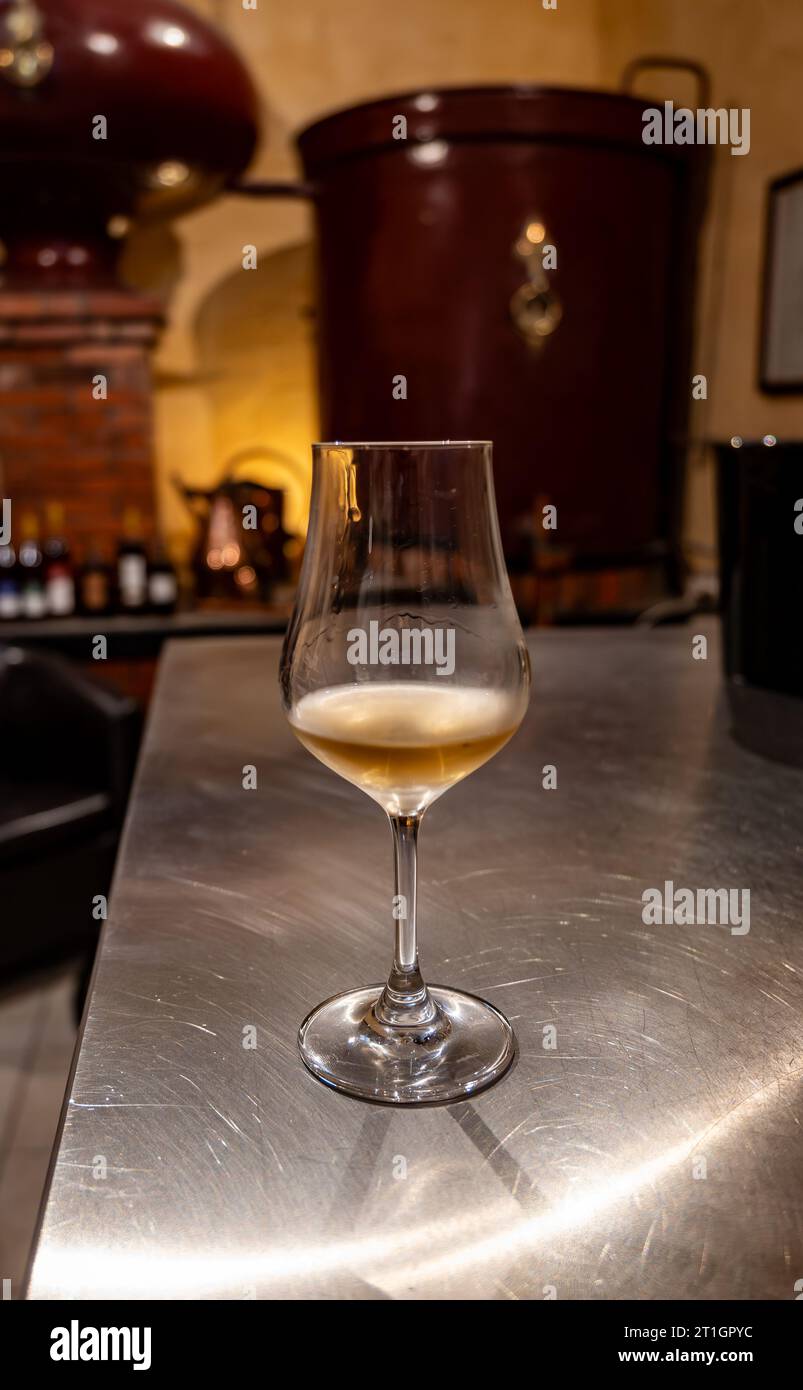 Tasting of cognac spirit aged in old dark French oak barrels in cellar ...