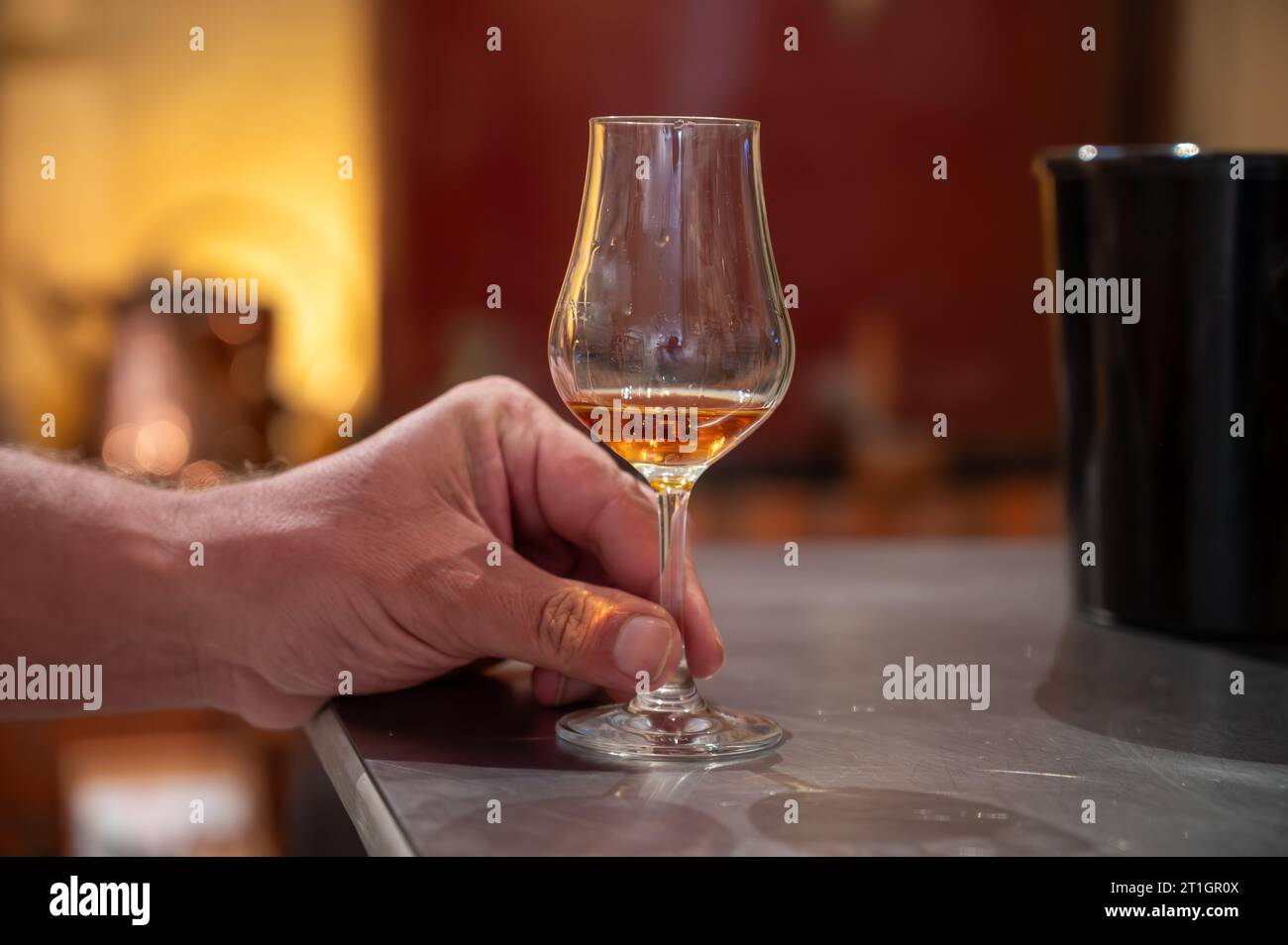 Tasting of cognac spirit aged in old dark French oak barrels in cellar ...