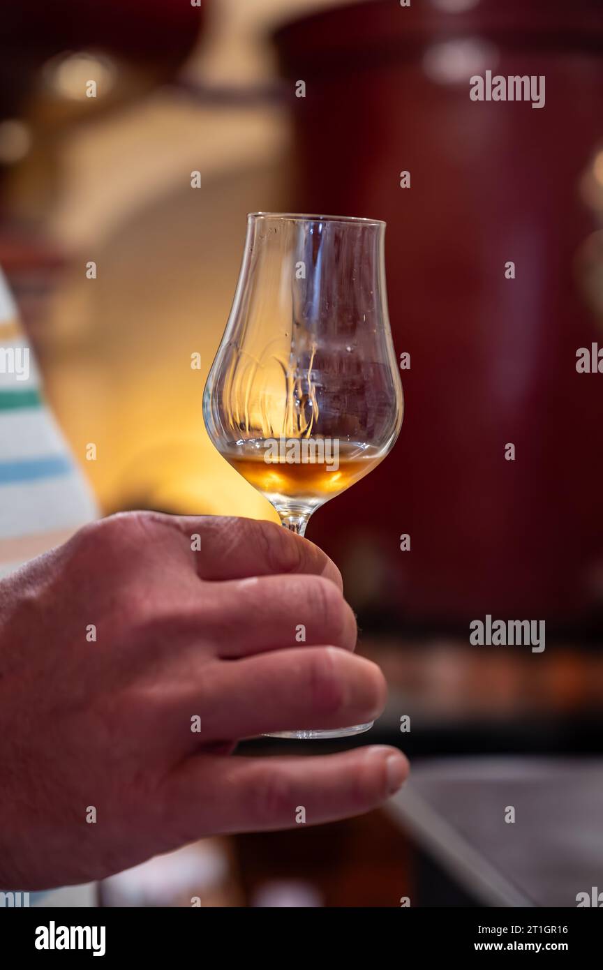 Tasting of cognac spirit aged in old dark French oak barrels in cellar ...