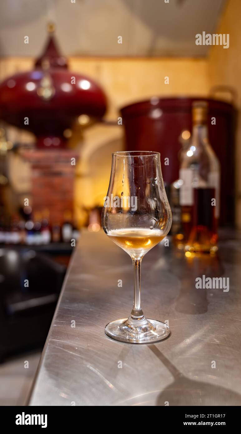 Tasting of cognac spirit aged in old dark French oak barrels in cellar ...