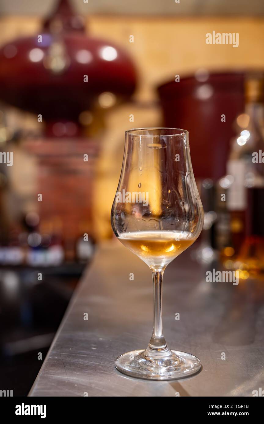 Tasting of cognac spirit aged in old dark French oak barrels in cellar ...
