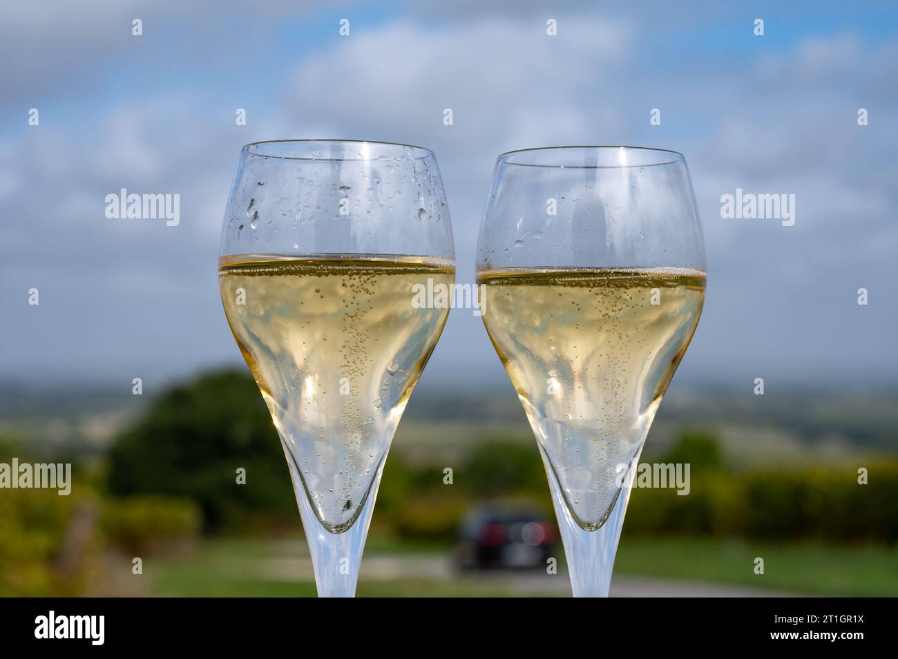 Tasting of grand cru sparkling white wine with bubbles champagne on ...