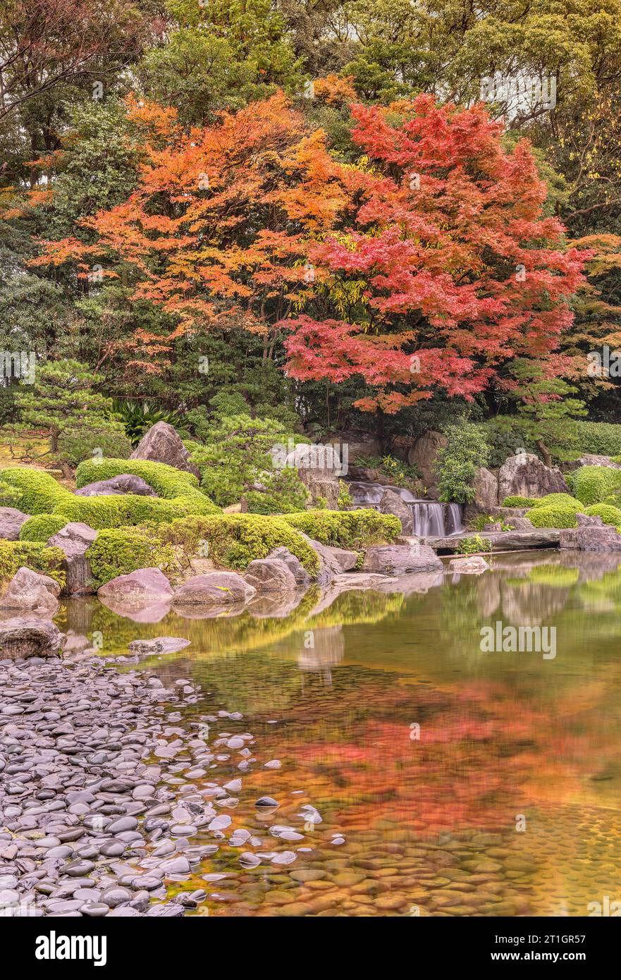 A serene autumn scene a rainy day unfolding as the rain-drenched pebble ...