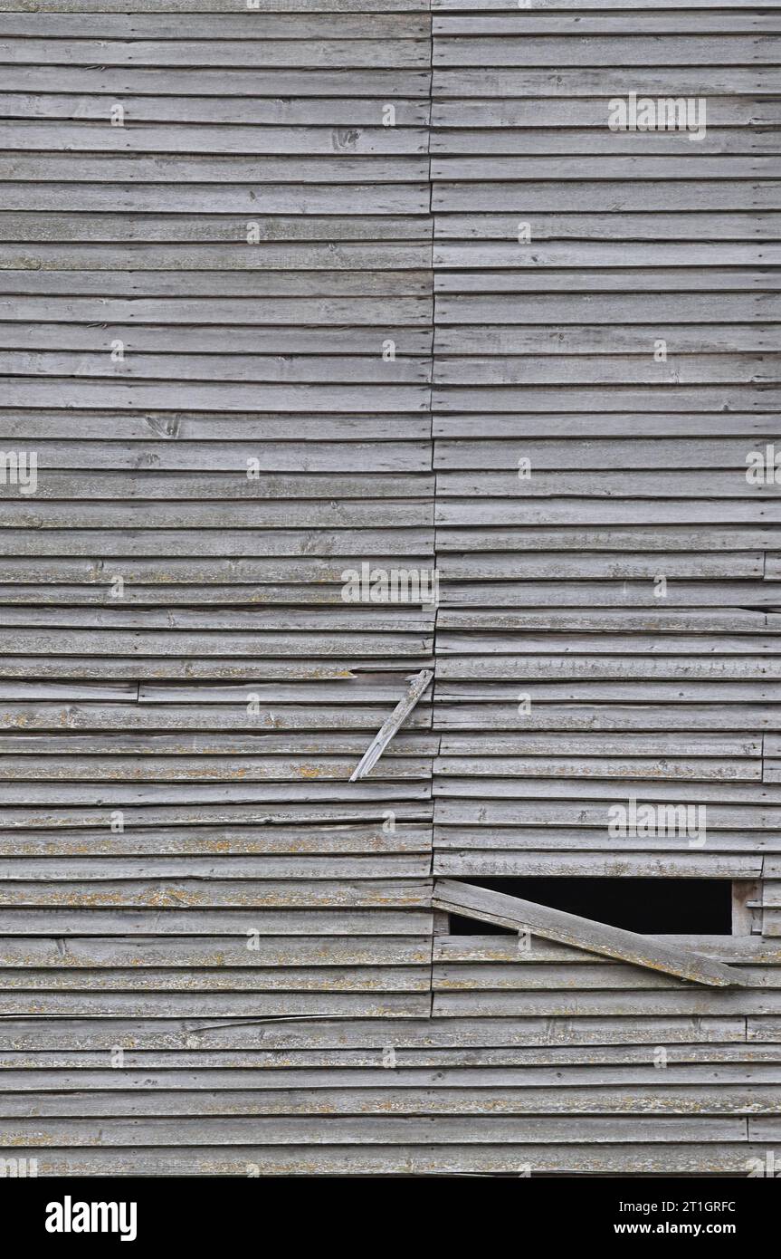 Old aged weathered natural grey damaged wooden farm shack wall texture, large detailed textured ...