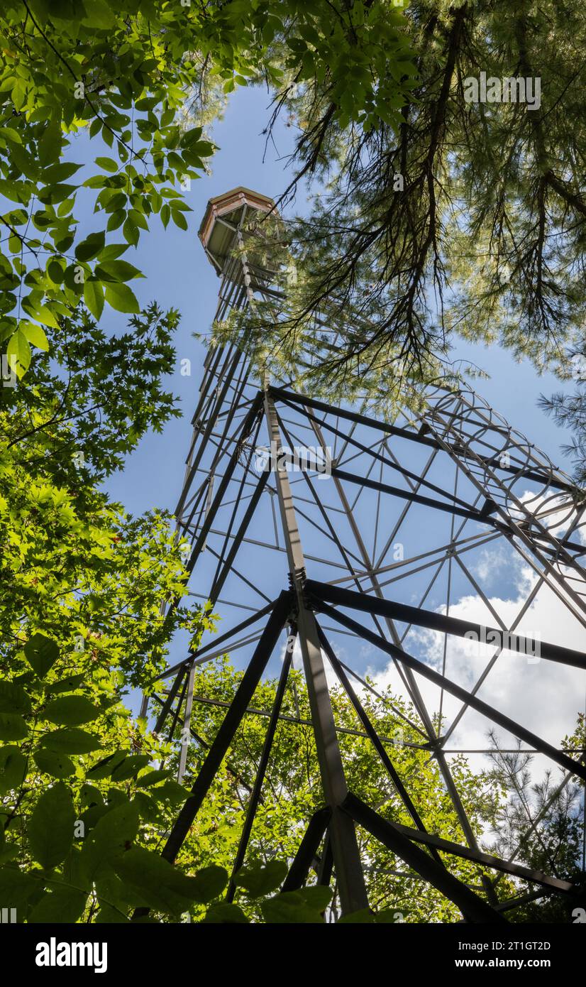 An old metal fire tower on a forest trail in Halliburton Ontario Stock ...