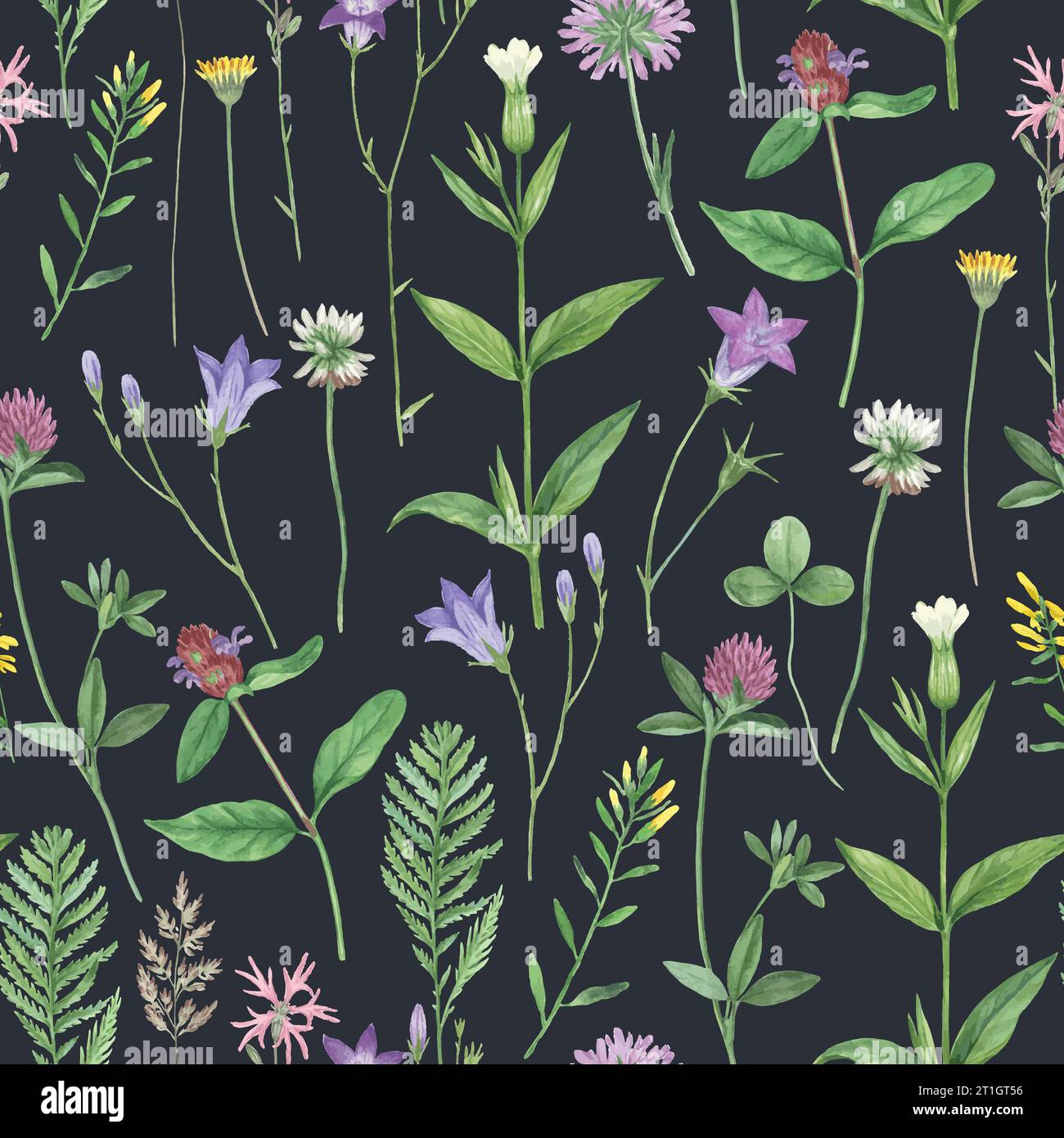 Seamless pattern with watercolor meadow plants. Vector realistic ...