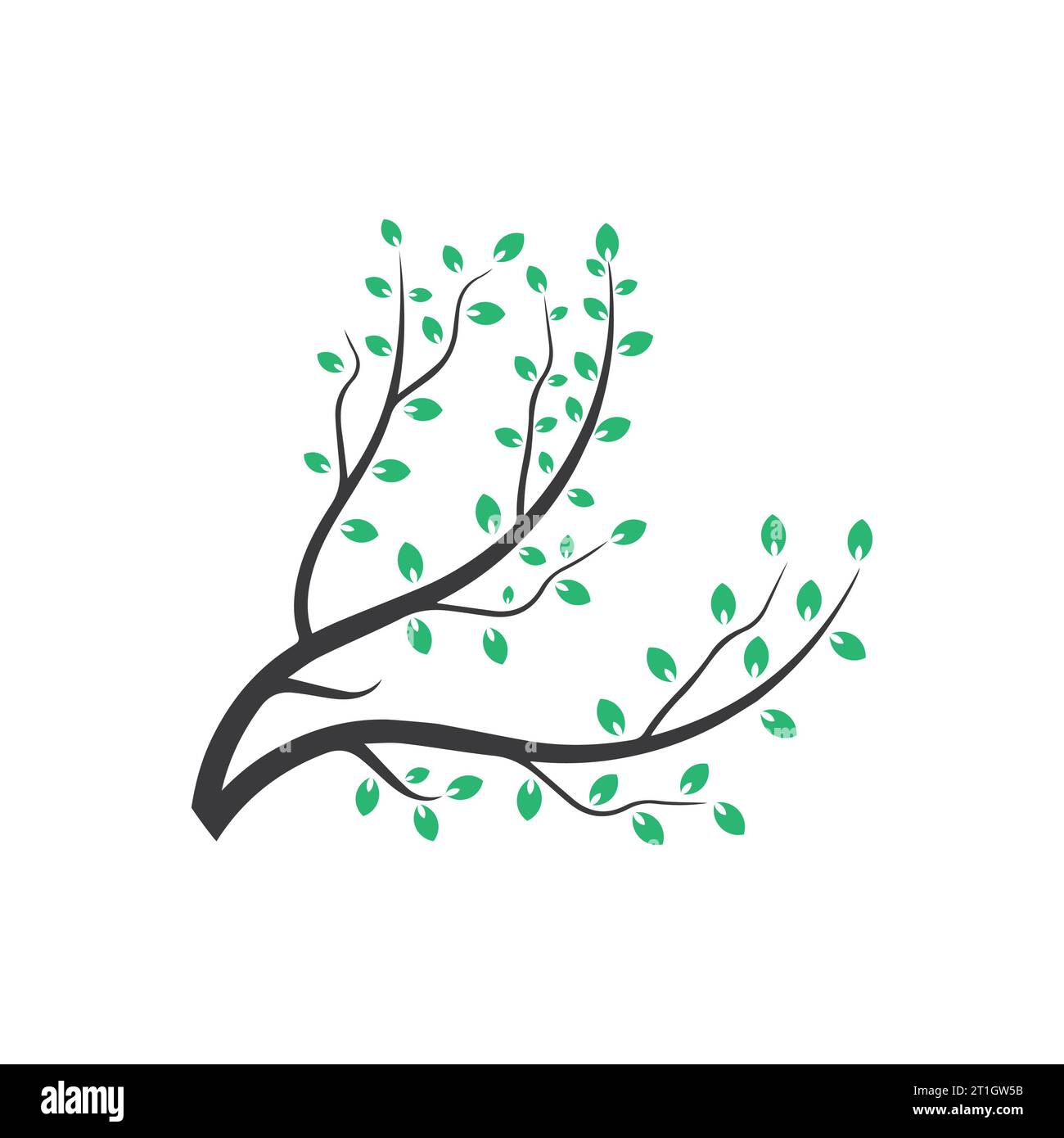 Vector branch , Hand drawn illustration of tree branch design template ...