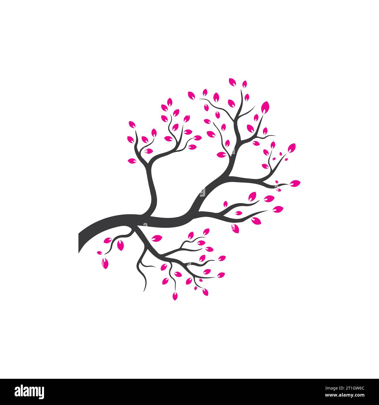 Vector branch , Hand drawn illustration of tree branch design template ...