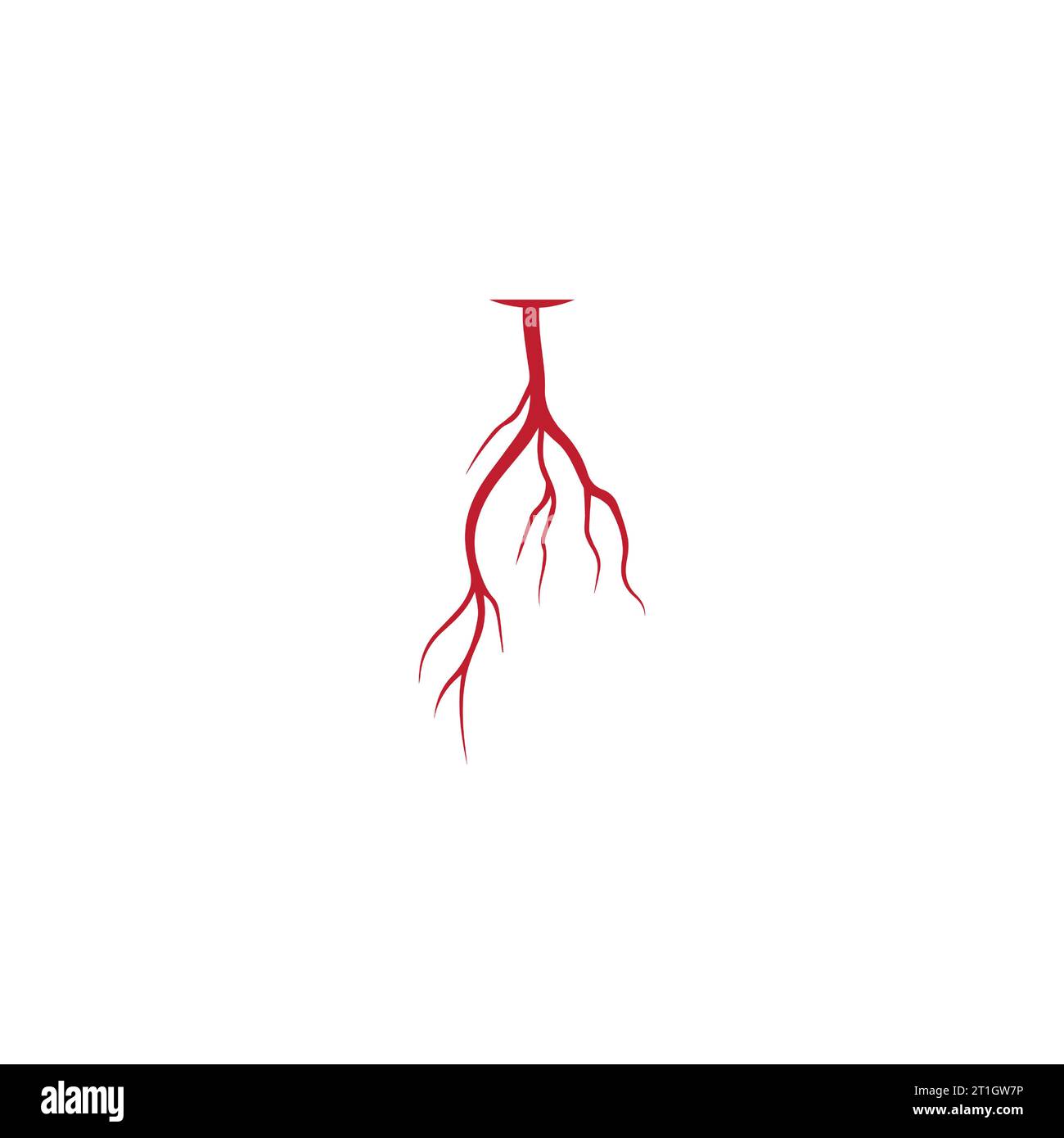 human veins, red blood vessels design and arteries Vector illustration ...
