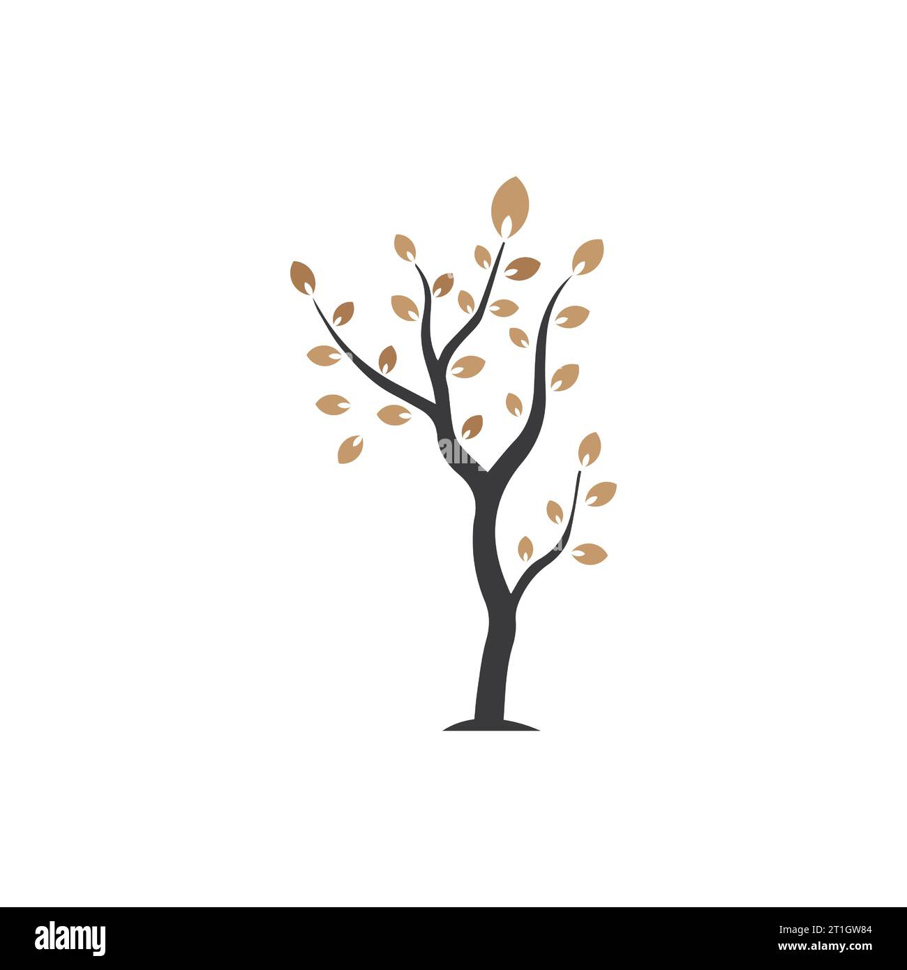 Vector branch , Hand drawn illustration of tree branch design template ...