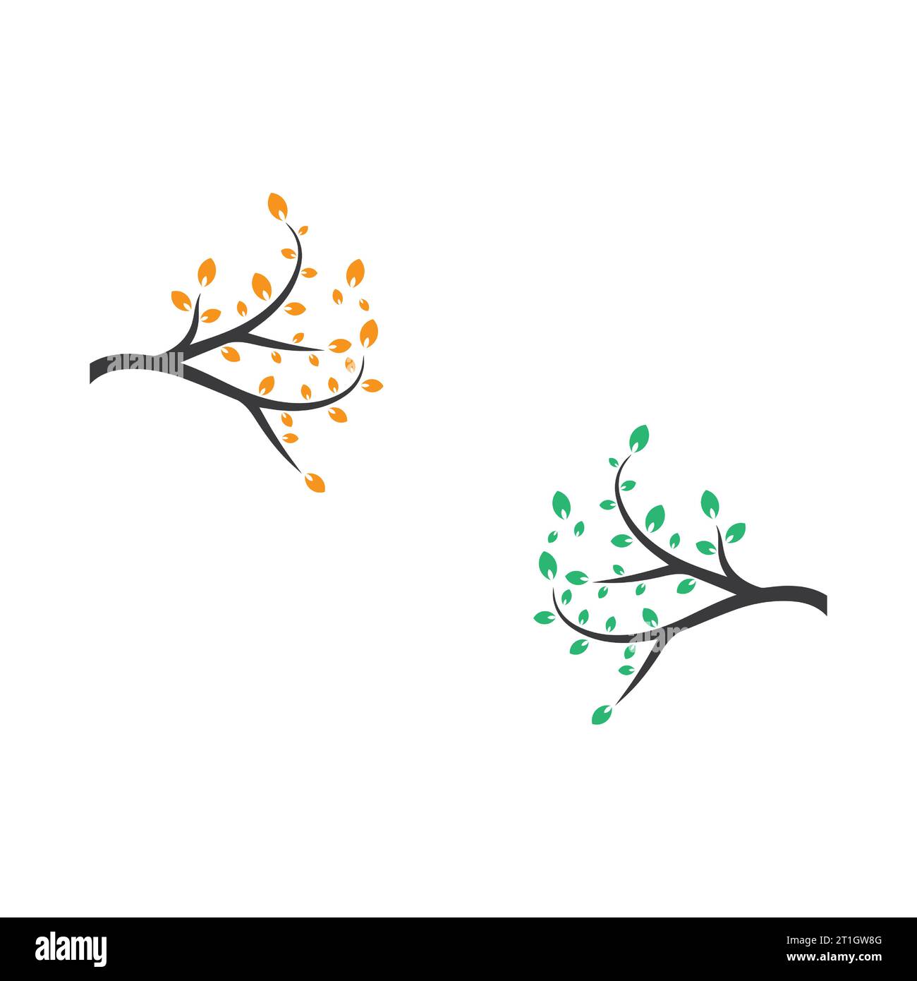 Vector branch , Hand drawn illustration of tree branch design template ...