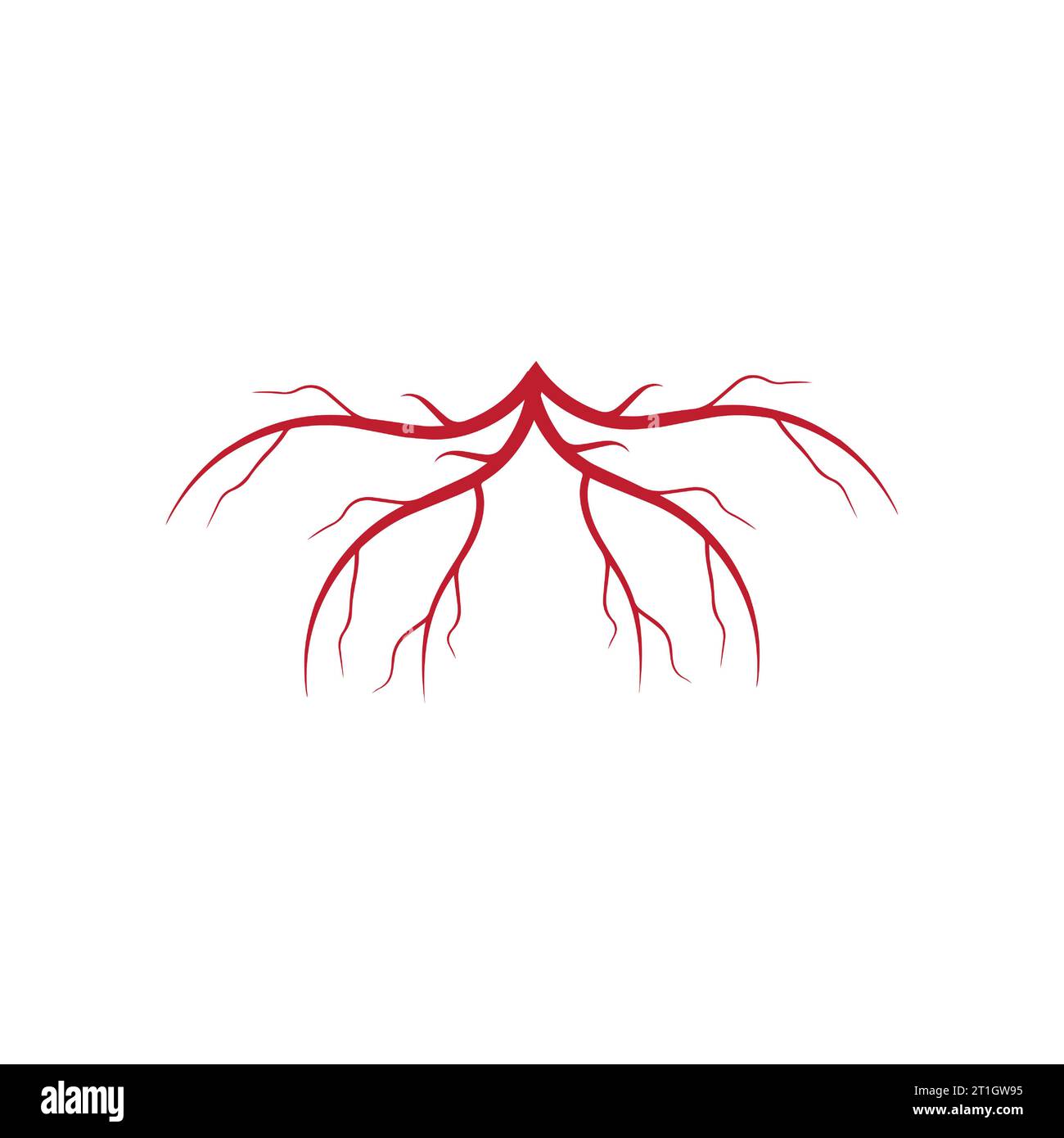 human veins, red blood vessels design and arteries Vector illustration ...